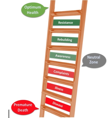 The Ladder of Health | Lifestyle Nutrition